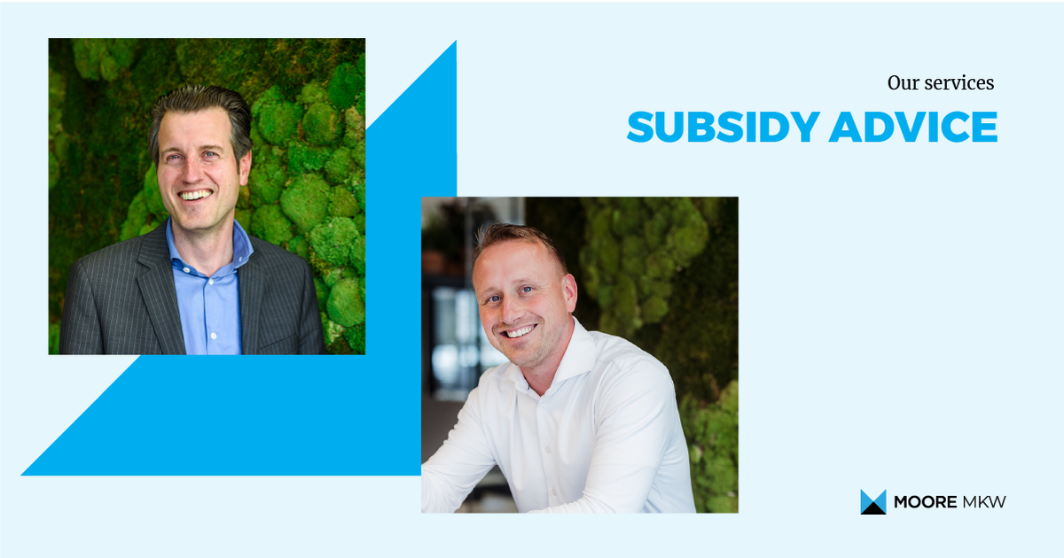 Subsidy advice | Increases the chance of being awarded a subsidy